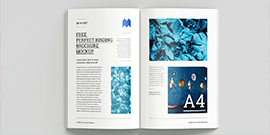 Print your Document at Printster.in